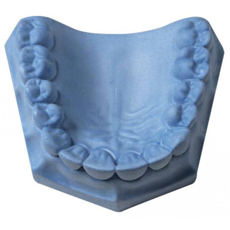 Model Stone - Lab Depot ltd.